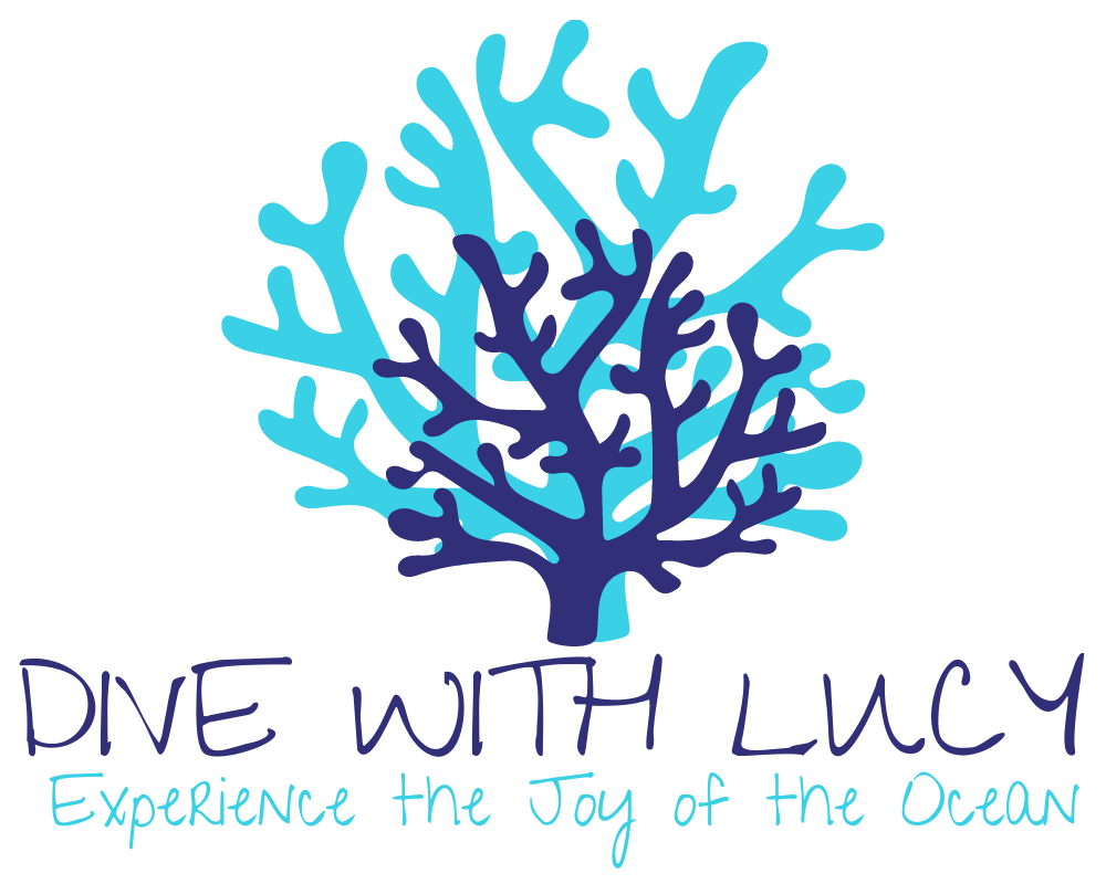 Dive With Lucy – Experience the Joy of the Ocean